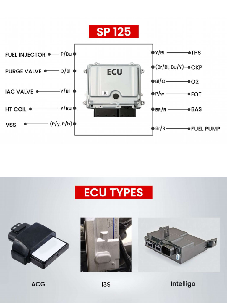 ECU | PDF