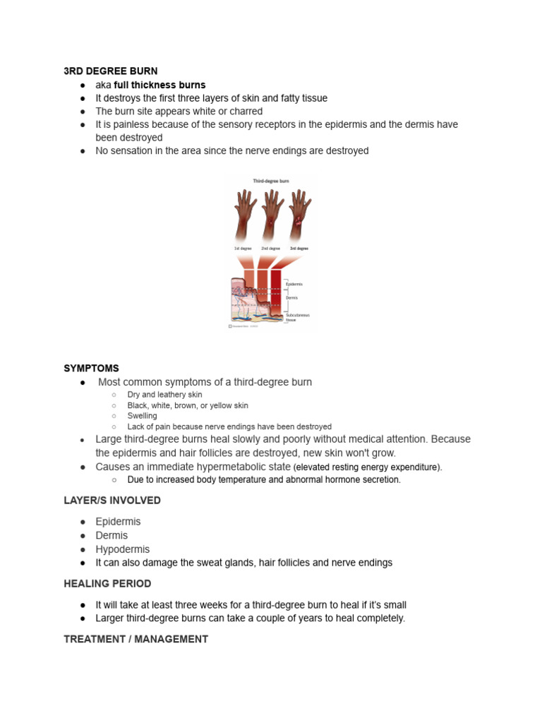 3RD | PDF | Burn | Skin