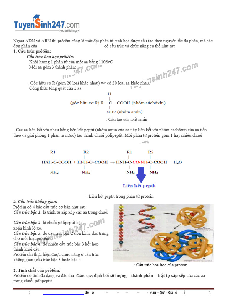 Cau Truc Va Chuc Nang Cua Protein | PDF
