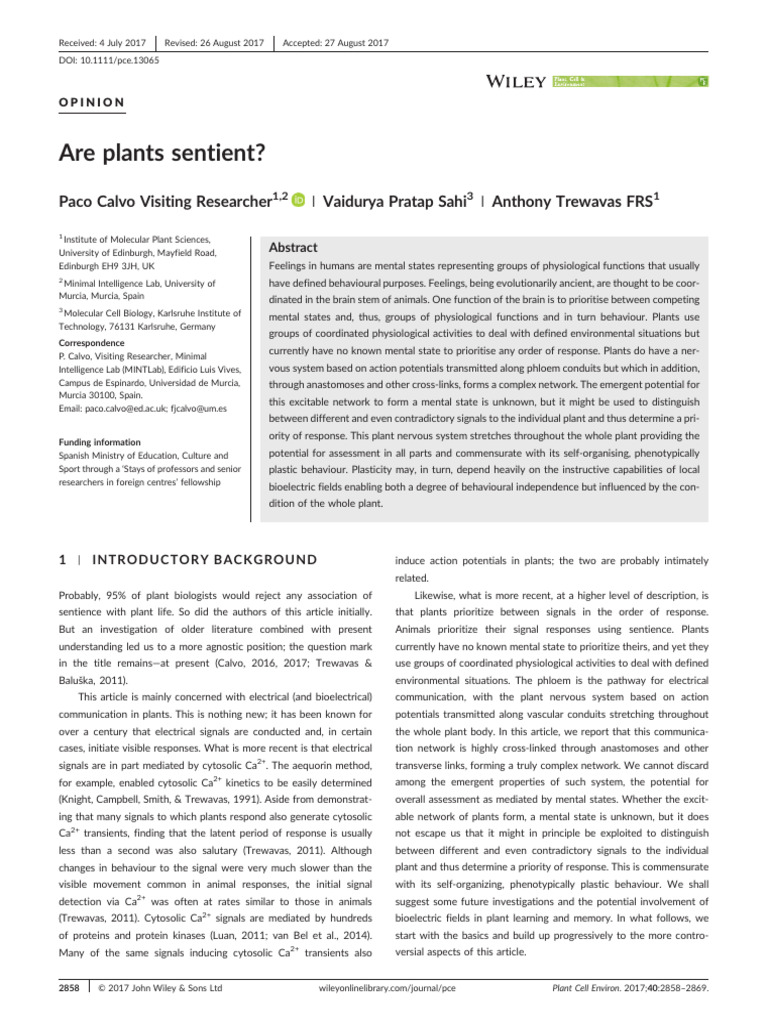 Plant Sentience and Electrophysiology | PDF | Leaf | Plant Stem