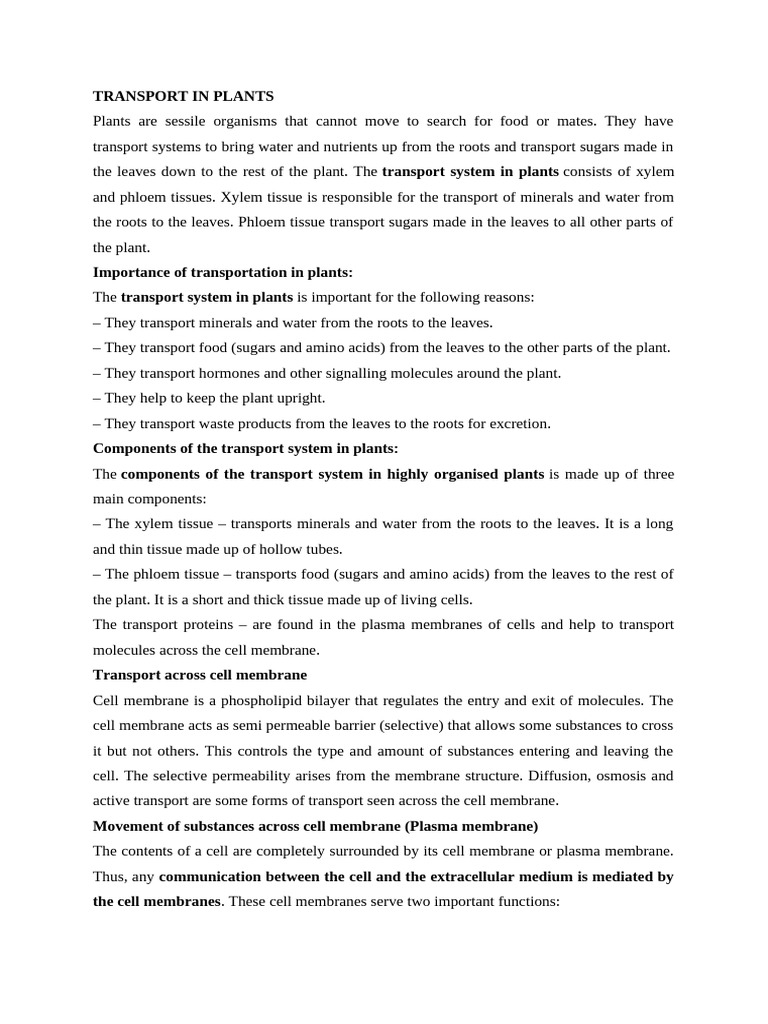 Plant Transport Mechanisms Explained | PDF | Osmosis | Mass ...