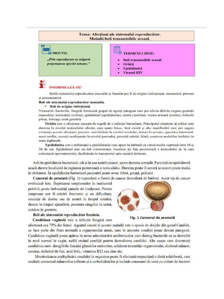 Afectiuni A SR | PDF