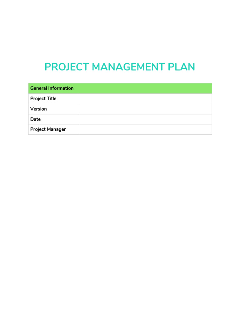 Comprehensive Project Management Plan | PDF | Project Management | Business