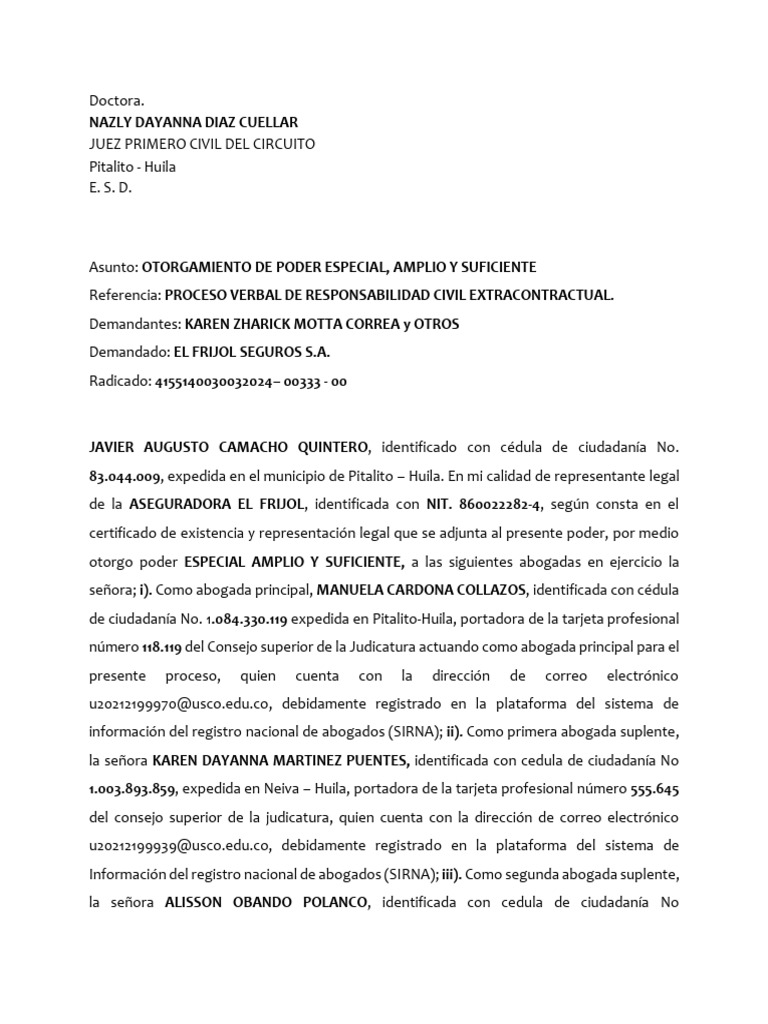 Otorgamiento Poder Persoa Juridica | PDF | Ley Pública | Gobierno