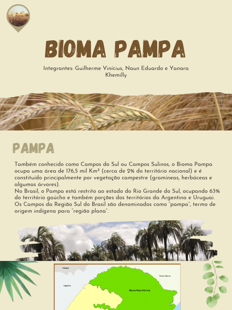 Bioma Pampa | PDF | Pasto | Geociências