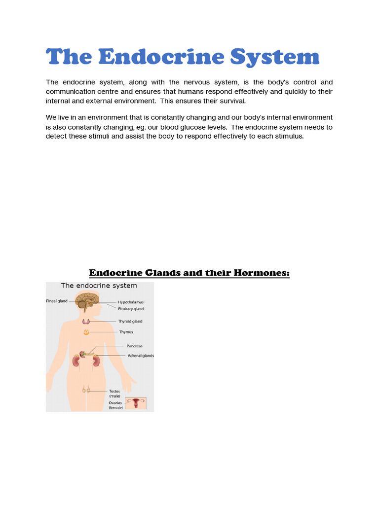 Life Sciences Class Notes | PDF | Endocrine System | Thyroid