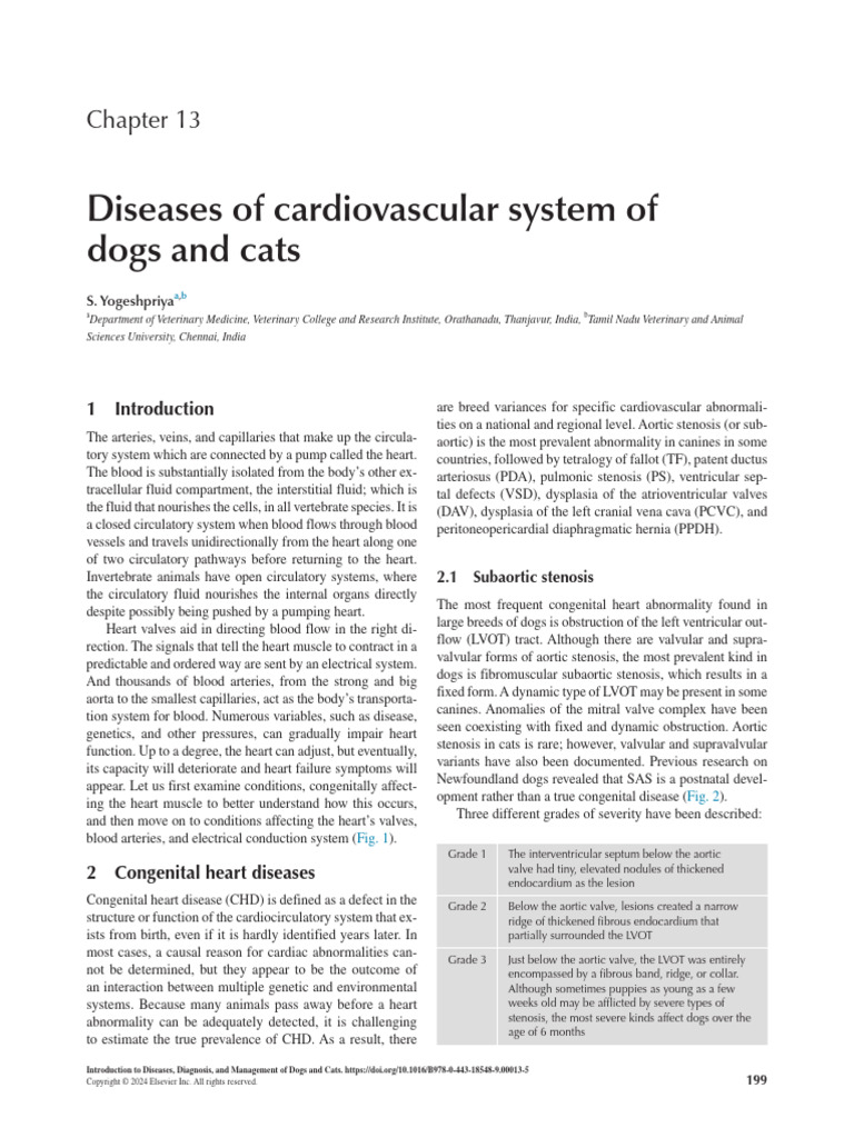 Diseases of Cardiovascular System of Dogs and Cats | PDF | Heart ...
