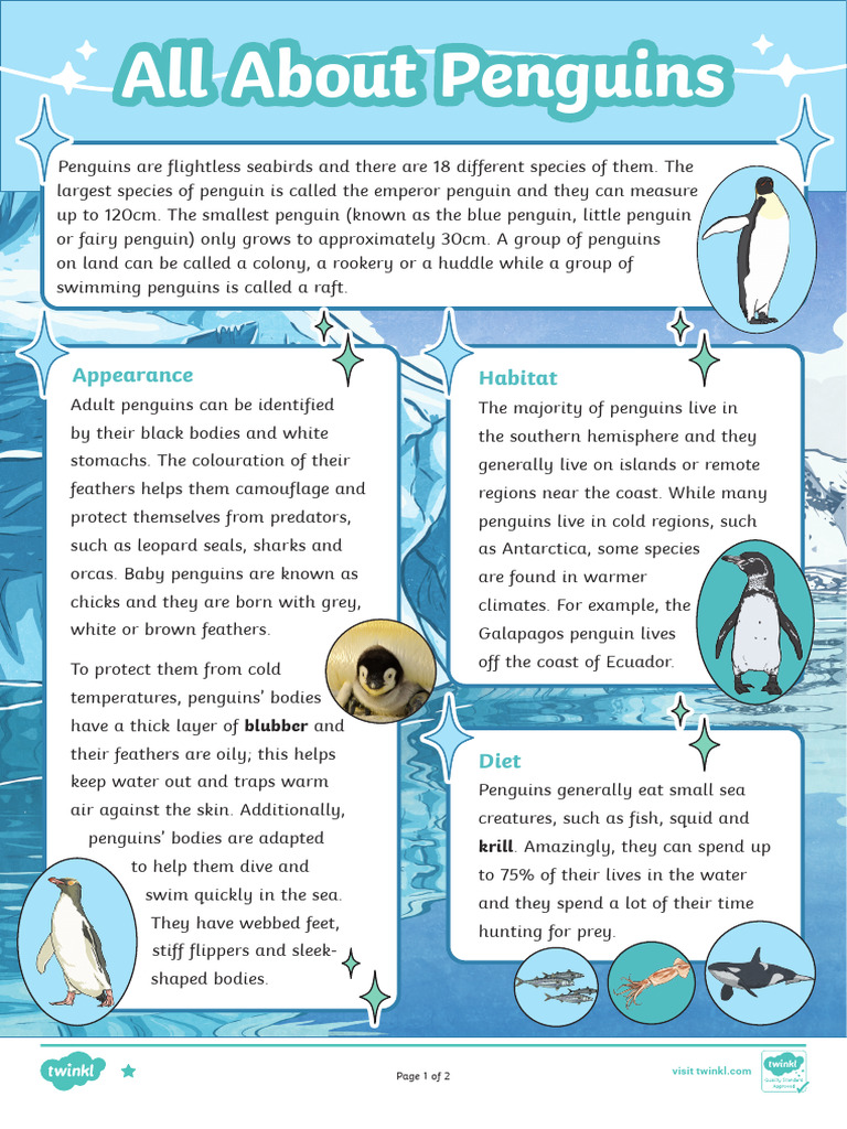 UKS2 All About Penguins Differentiated Reading Comprehension | PDF ...
