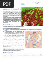 Capas Del Suelo | PDF | Suelo | Erosión