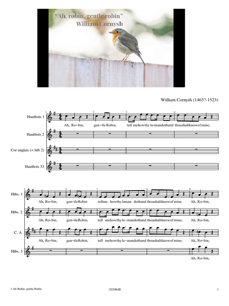 Ah Robin Gentle Robin-Conducteur Et Parties | PDF | Woodwind ...