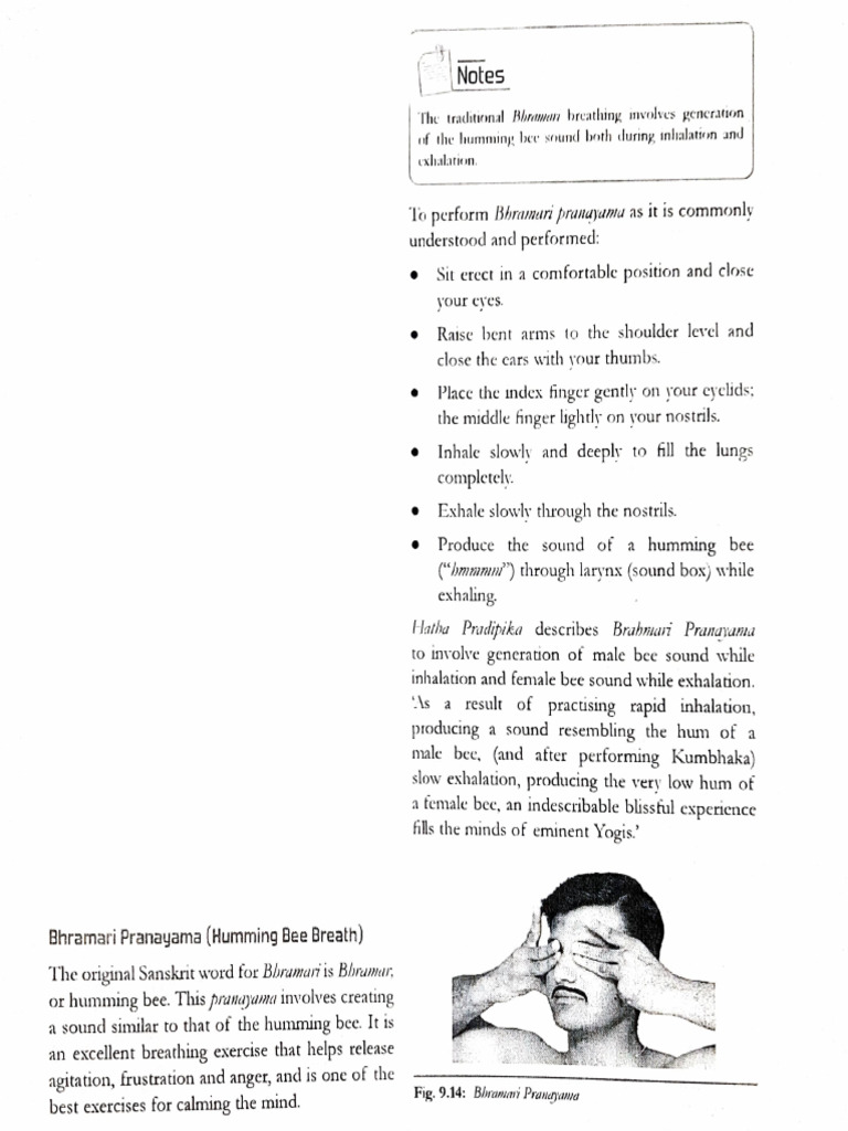 Shetkari, Sheetali, Bhramari | PDF