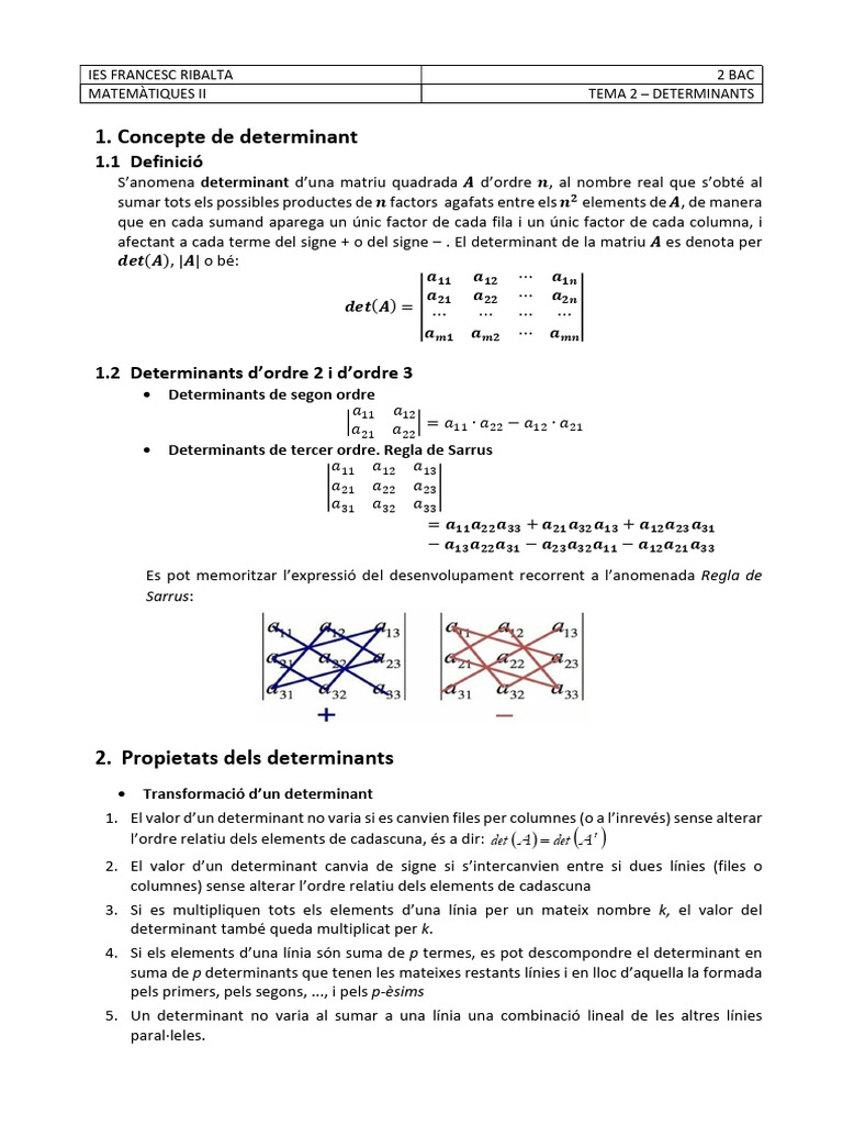 Tema2 Determinants | PDF