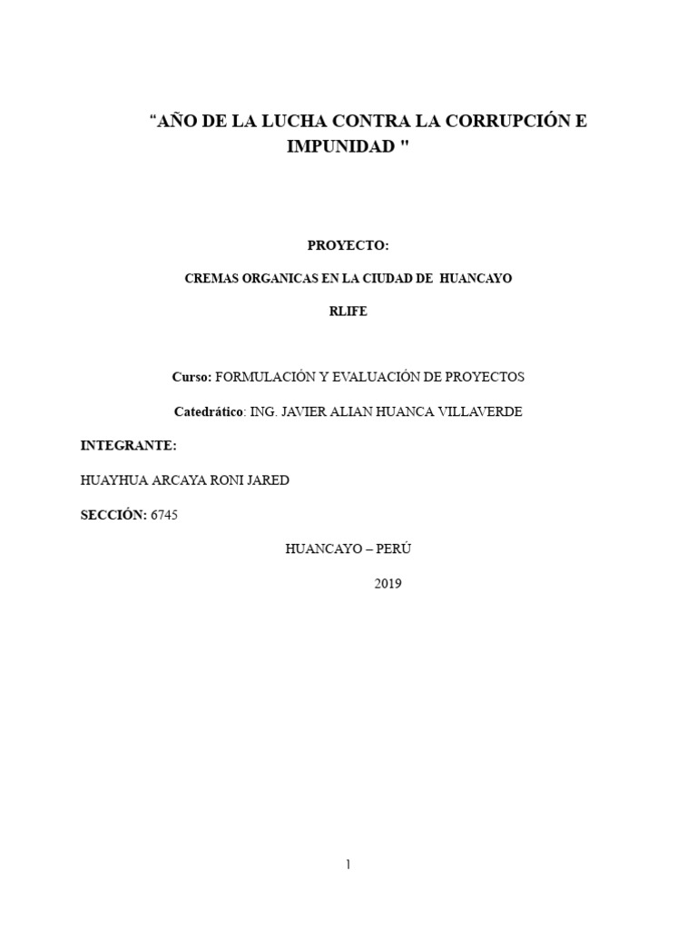 Roni Formulacion | PDF | Marketing | Producto (Negocio)