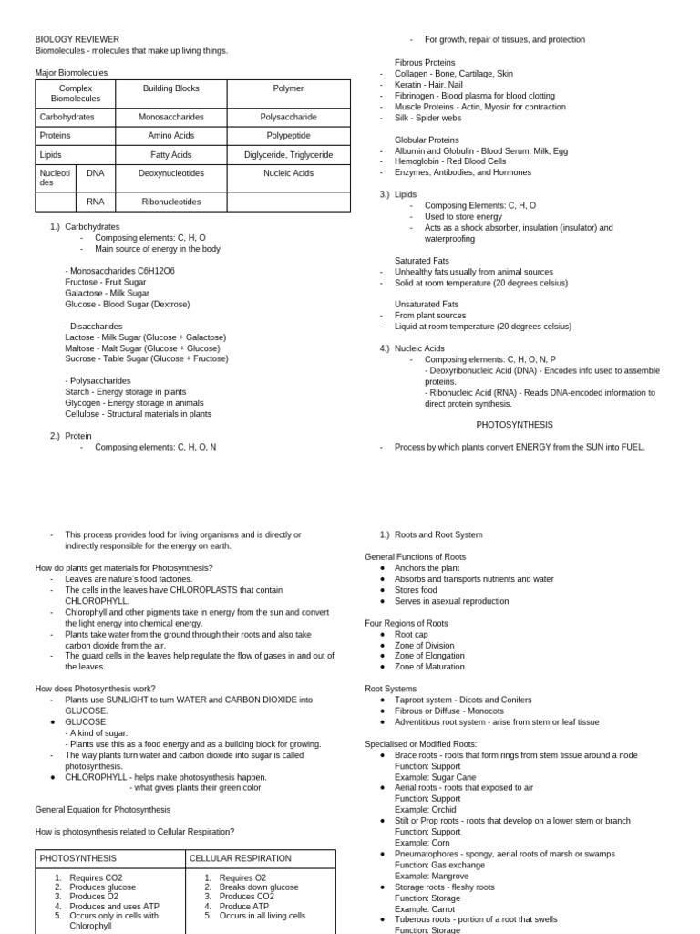 Biology Reviewer Pdf Leaf Fruit