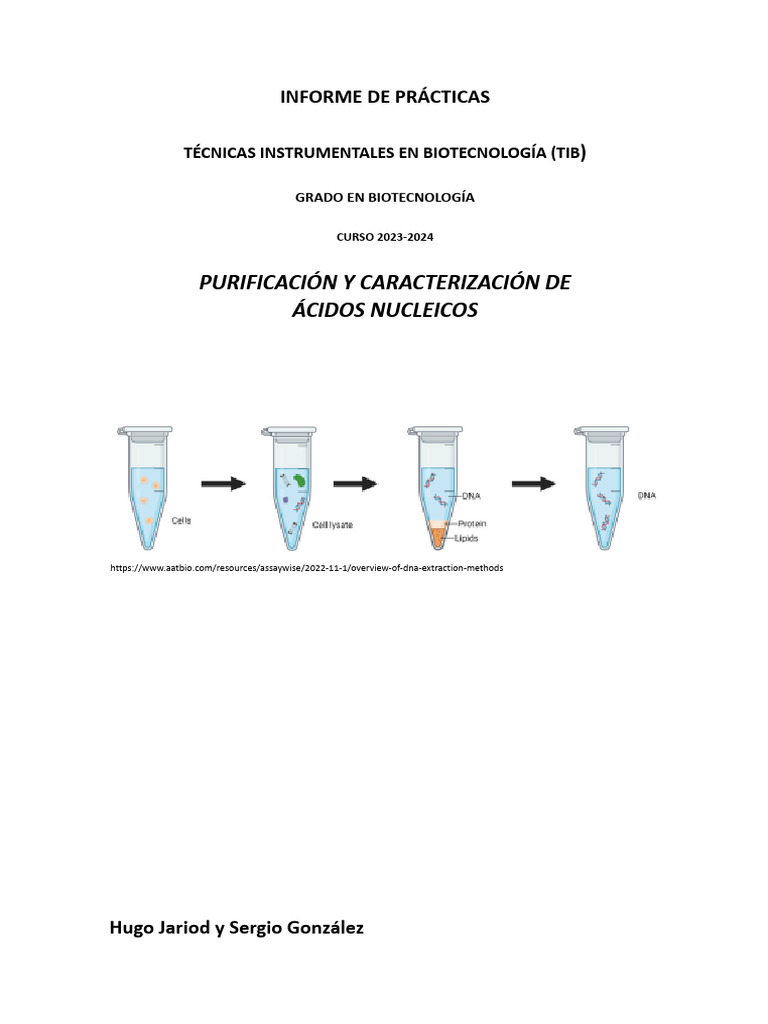 Informe (Ácidos Nucleicos) TIB | PDF | Adn | Plásmido