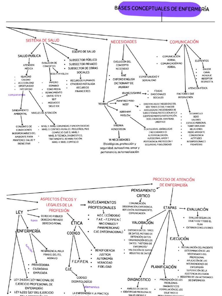 Bases Conceptuales de Enfermeria 1 | PDF