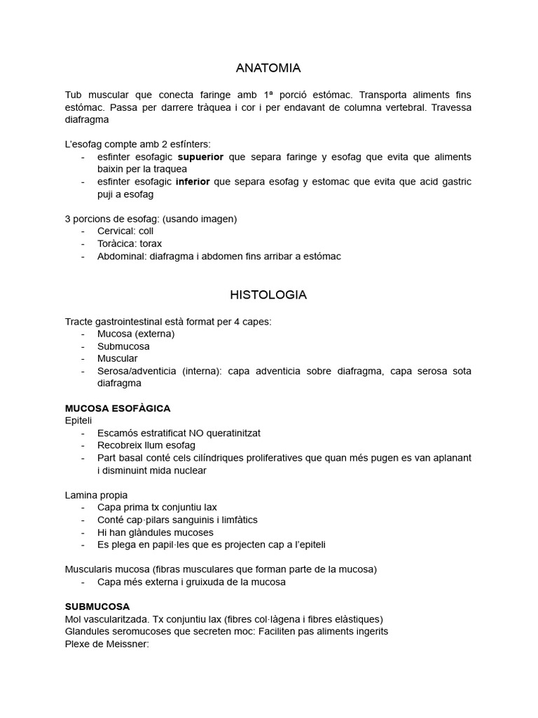 Esòfag de Barrett | PDF