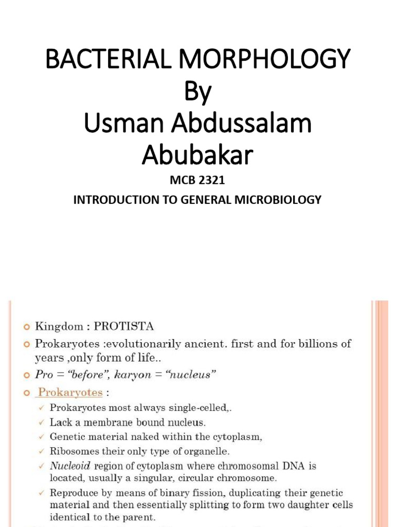 Bacterial Morph (1) MCB | PDF