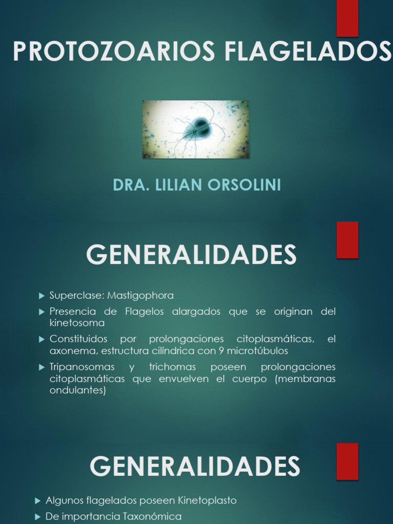 Flagelados Intestinales Giardiosis 2024 | PDF | Diarrea ...