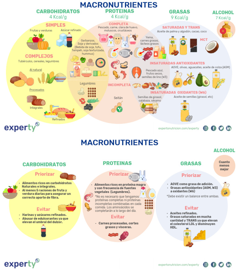 Macronutrientes Experty | PDF | gordo | Petróleo