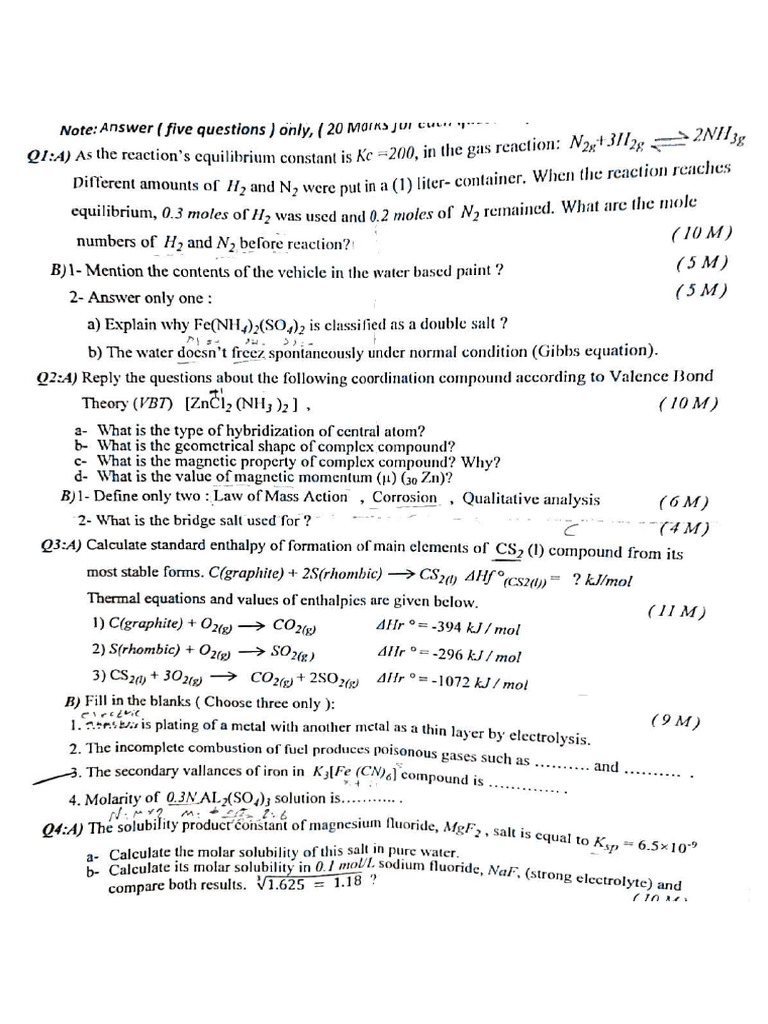 IMG 1895 Merged | PDF