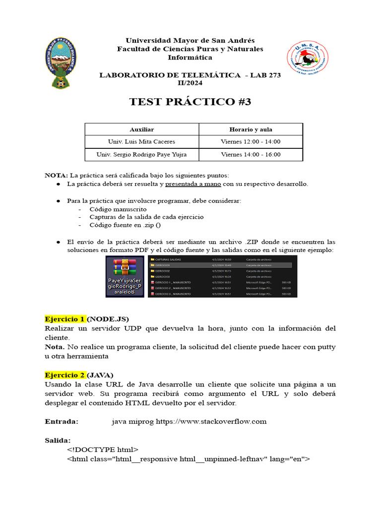 Practica Sockets Lab-273 | PDF | Redes | Internet y web