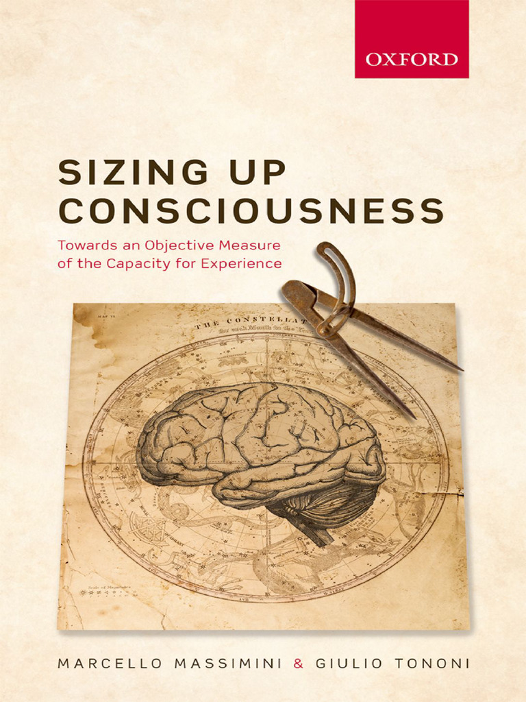 Objective Consciousness Measurement | PDF | Consciousness | Experience