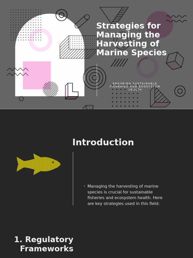 Strategies For Managing The Harvesting of Marine Species: Ensuring Sustainable Fisheries and ...