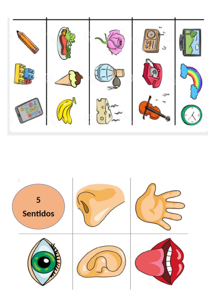 5 Sentidos | PDF