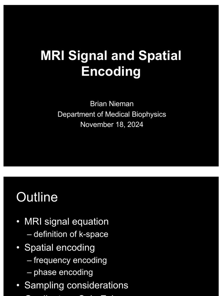 Signal - Encoding - Lecture - 2024-11-18 2024-11-18 17 - 31 - 11 | PDF ...
