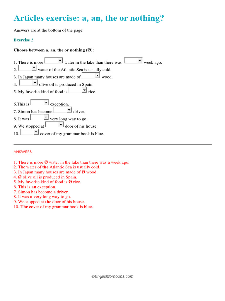 Articles Exercise A An The 2 | PDF