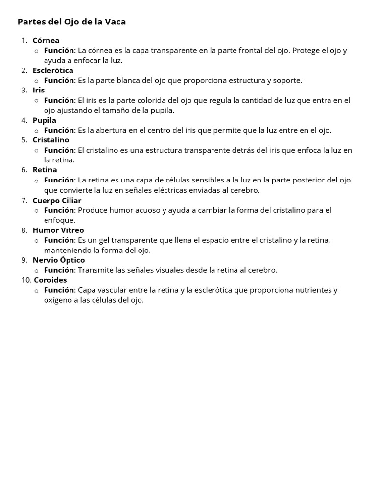 Partes Del Ojo de La Vaca | PDF | Hogar, jardinería y bricolaje ...