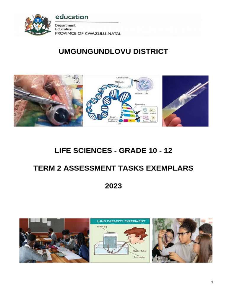 Grade 10 - 12 Assessment Tasks - FINAL | PDF | Vein | Osteoporosis