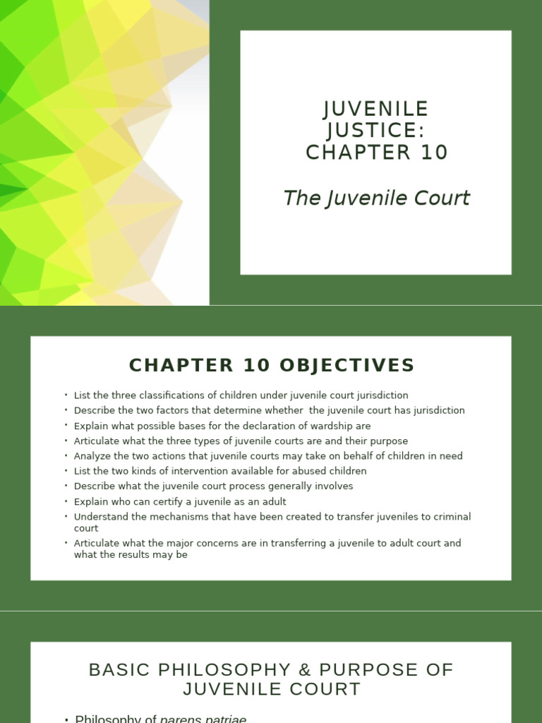 JJ Chapter 25 | PDF | Juvenile Delinquency | Juvenile Court