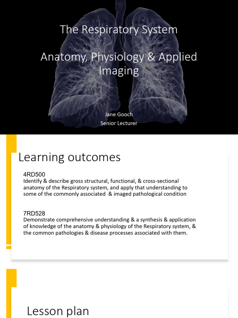 Anatomy of The Respiratory System | PDF | Lung | Respiratory Tract