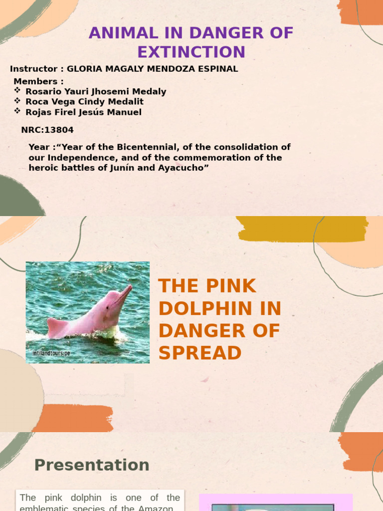 Animal in Danger of Extension | PDF | Dolphin