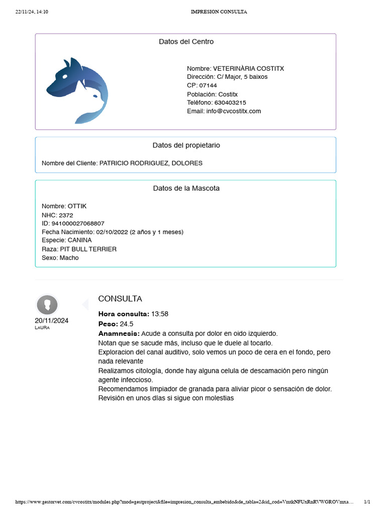 IMPRESIÓN CONSULTA-otik | PDF