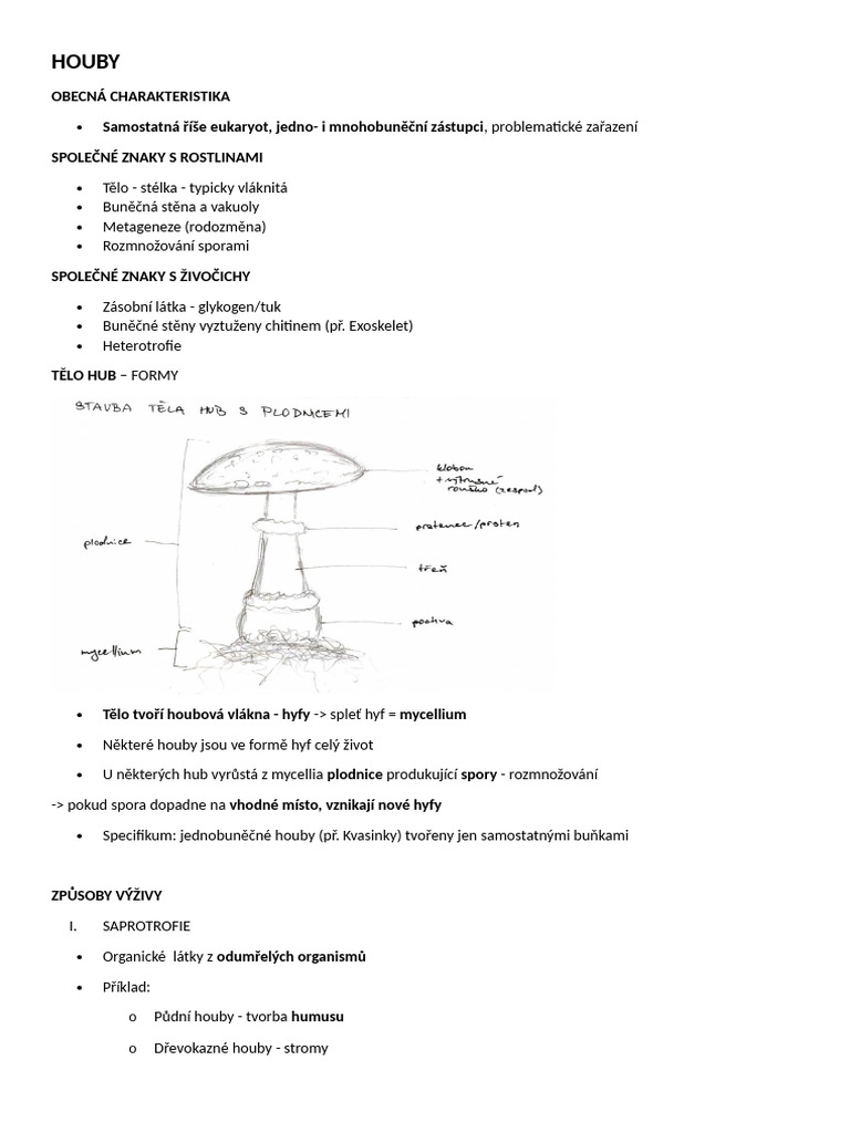 Houby | PDF
