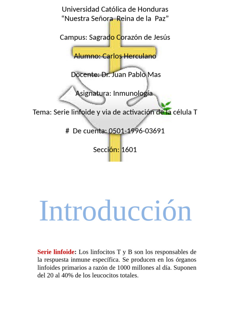 Inmuno 2 | PDF | Linfocitos | Célula T