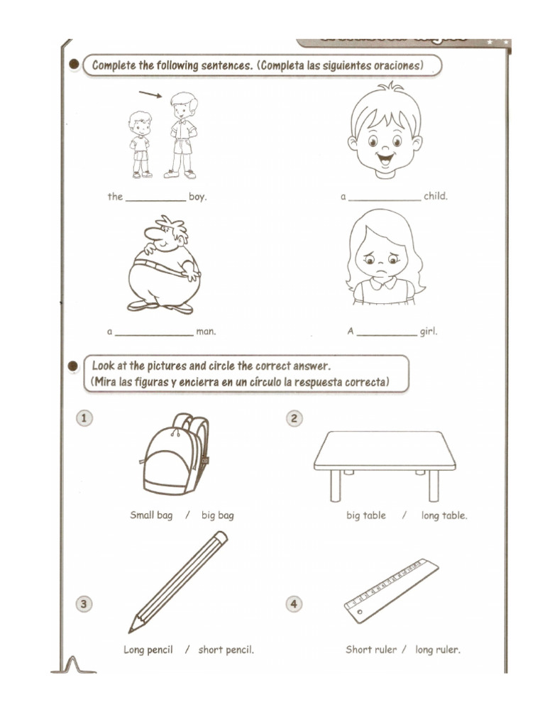 Adjectives | PDF