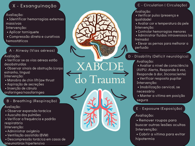 Mapa XABCDE | PDF | Fisiologia | Doenças e distúrbios