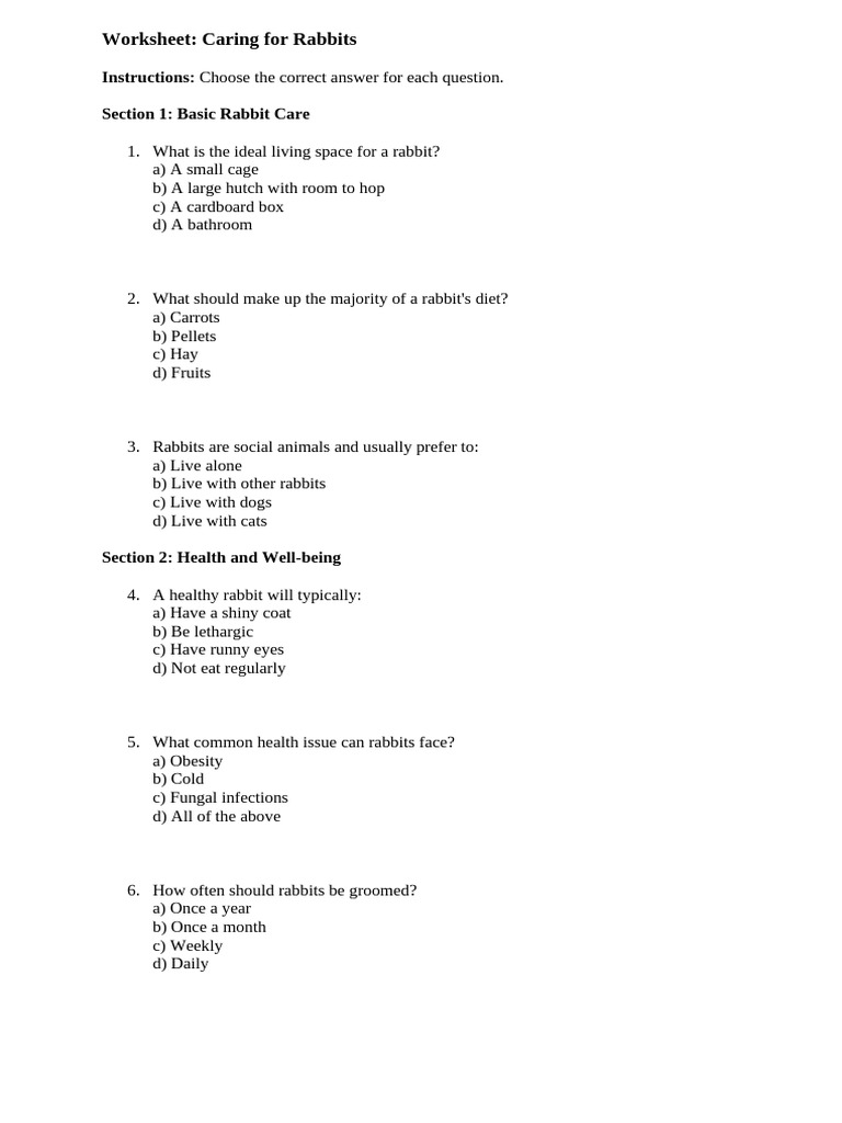 Rabbit Care Worksheet for Kids | PDF | Home & Garden