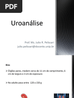 Atlas de Urinálise: Análise Completa | PDF