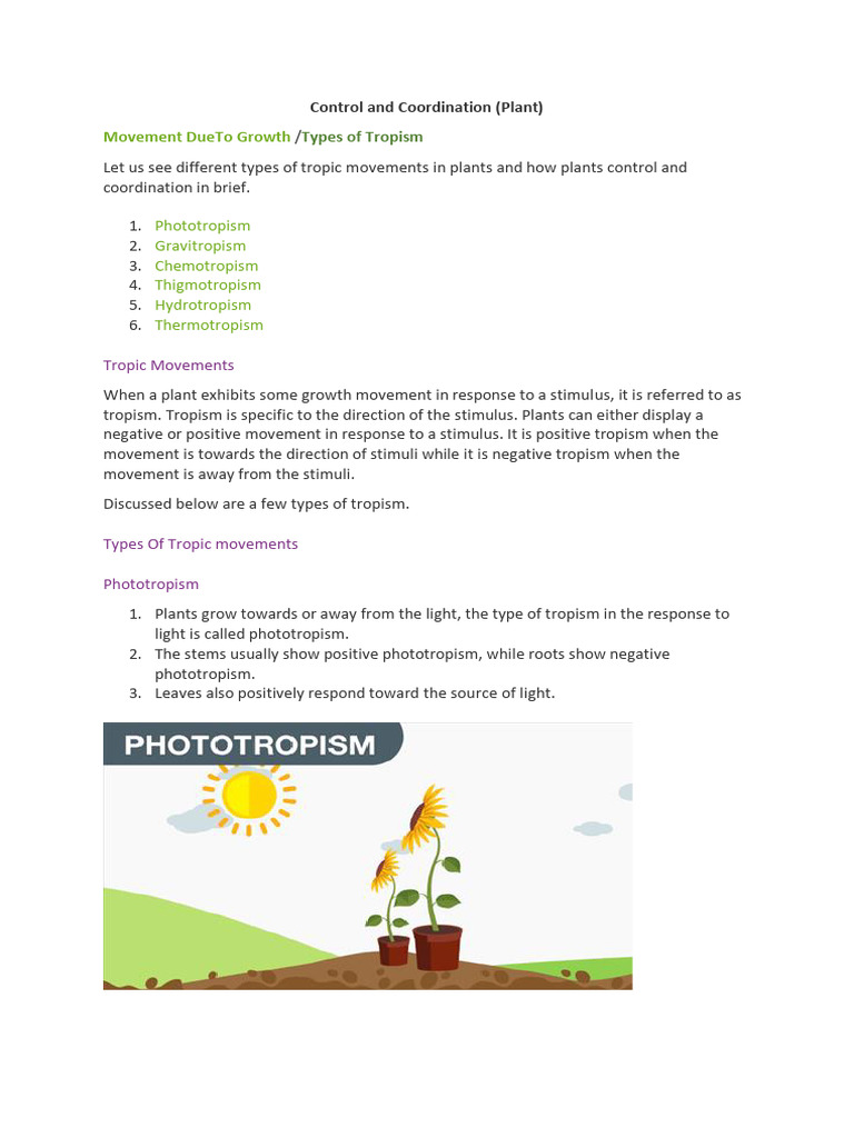 Control and Coordination (Plants) | PDF | Plant Hormone | Auxin