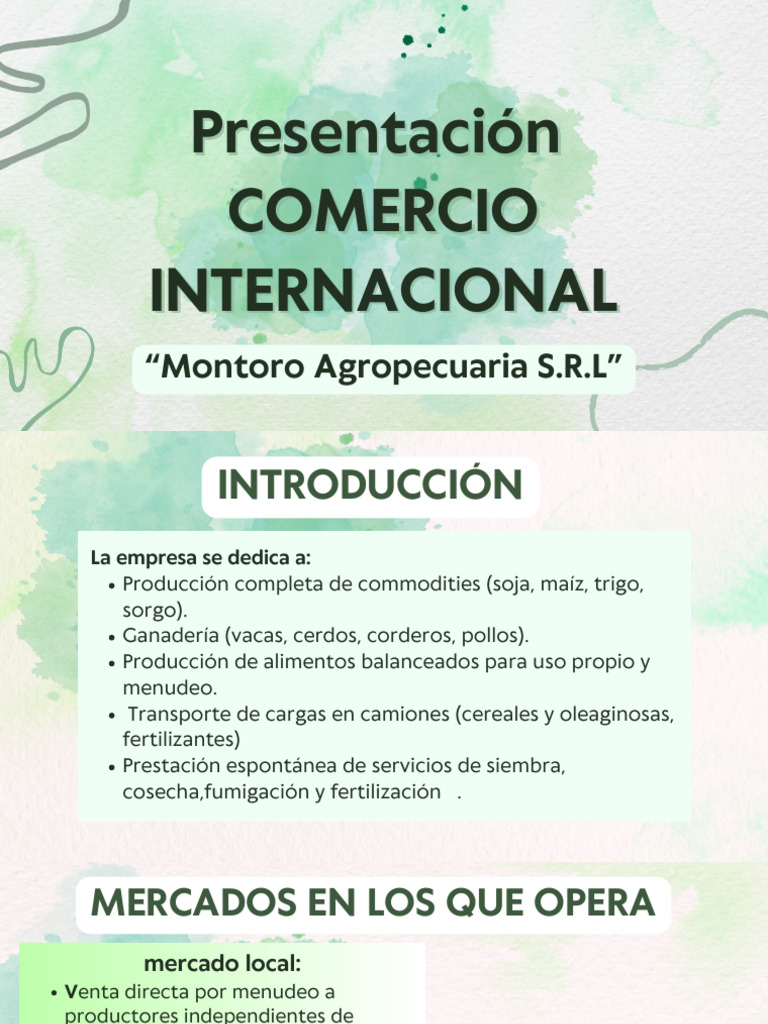 Presentacion Comercio Internacional 20241119 105317 0000 | PDF | Análisis FODA | Economias