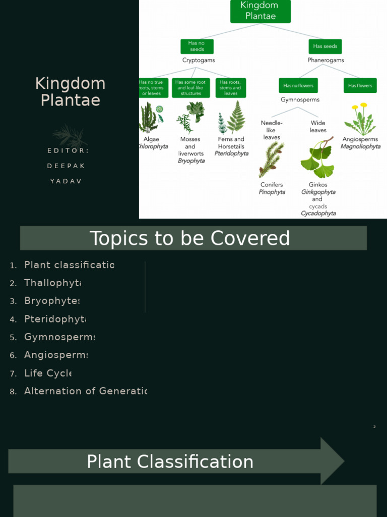 Kingdom Plantae | PDF | Sexual Reproduction | Plants