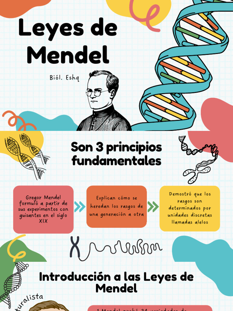 Leyes de Mendel - Eshq | PDF | Dominancia (Genética) | Biología