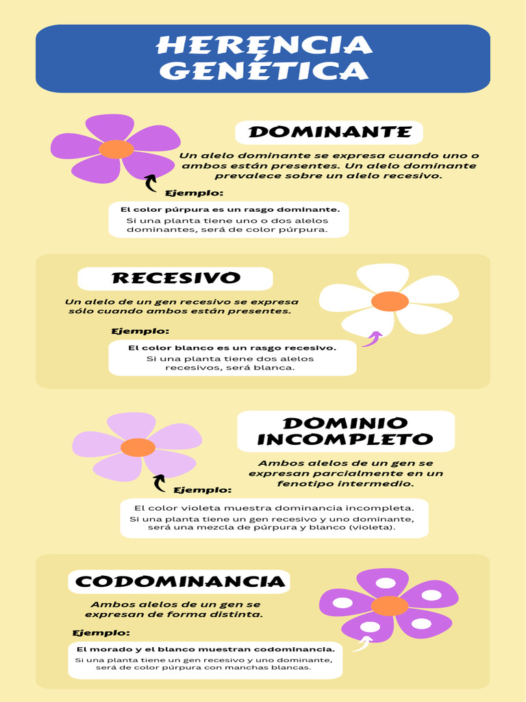 Herencia Genética: Dominancia y Codominancia | PDF | Artes del Lenguaje ...