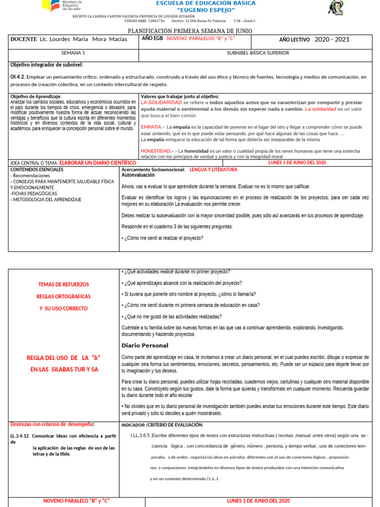 Planificación Educativa Junio 2020 EGB | PDF | Empatía | Aprendizaje