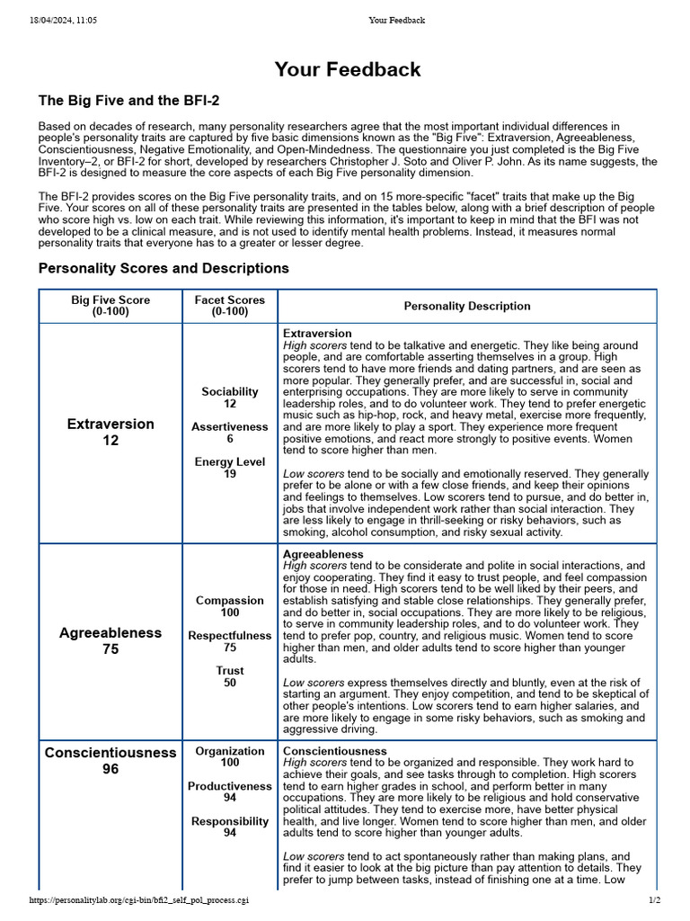 Big 5 - Feedback | PDF | Human Development | Psychology